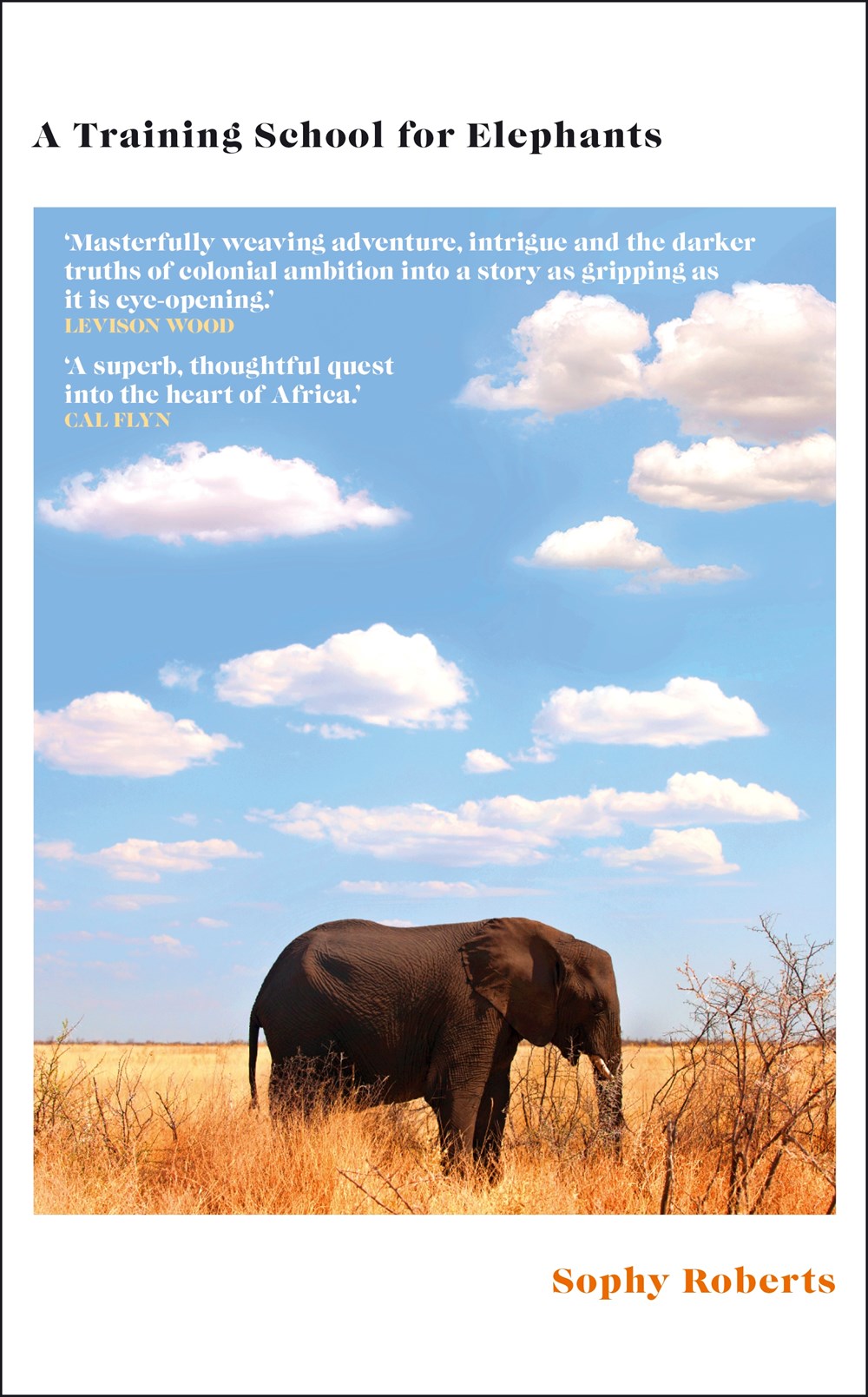 A Training School for Elephants | Sophy Roberts | London Review Bookshop