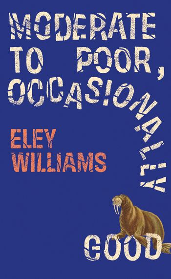 Moderate to Poor, Occasionally Good | Eley Williams | London Review ...