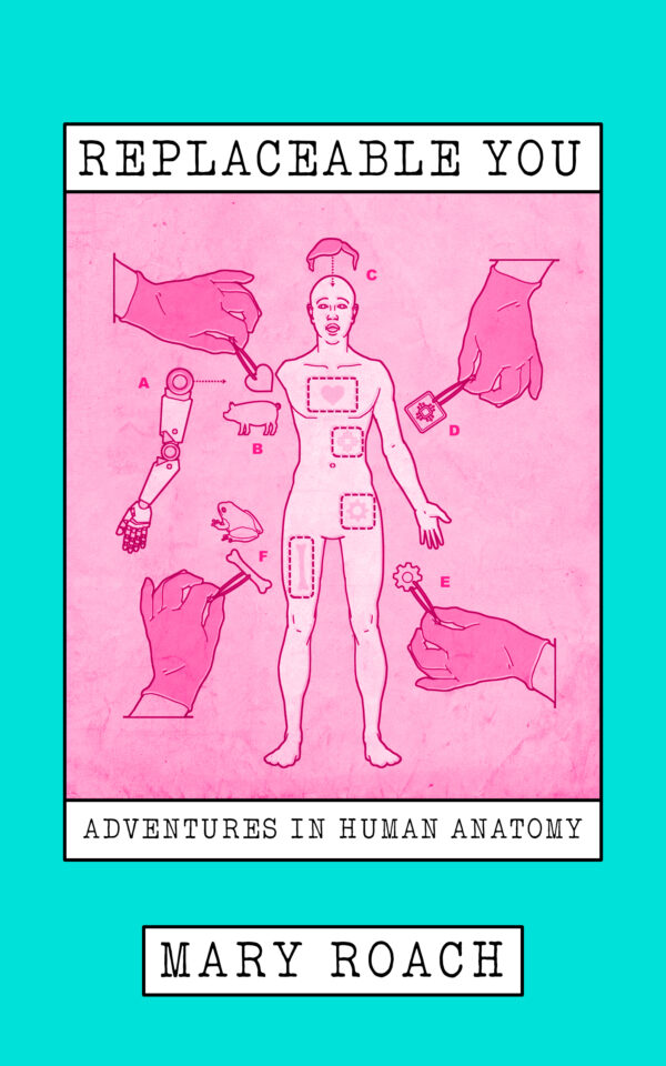 Replaceable You | Mary Roach | London Review Bookshop