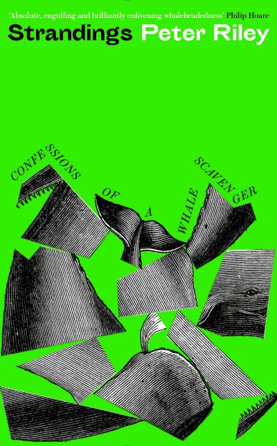 Strandings | Peter Riley | London Review Bookshop